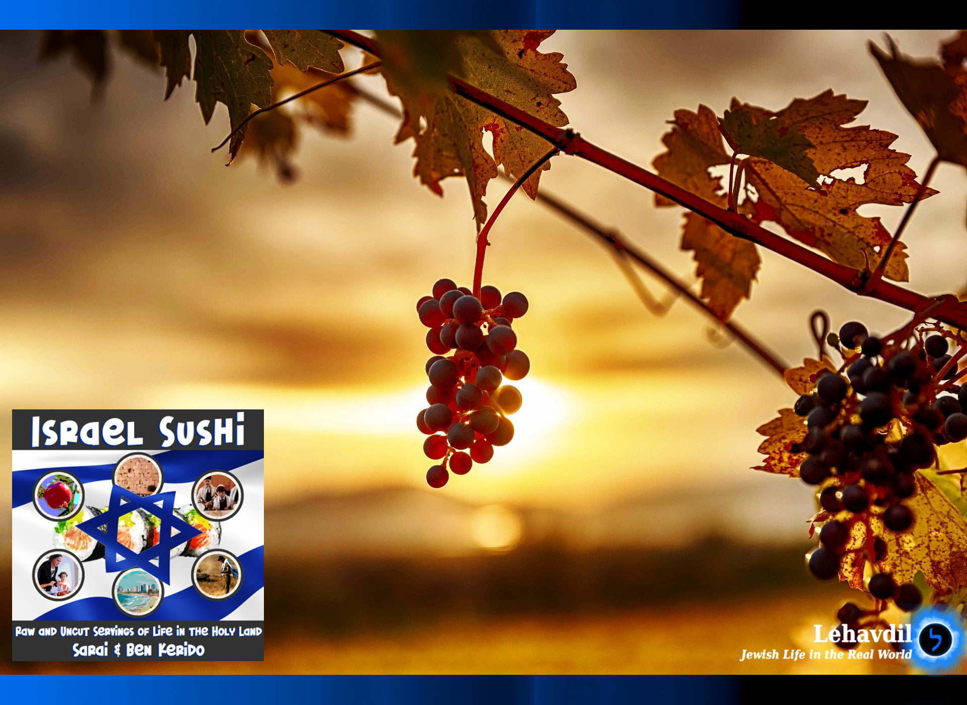 Israel Sushi: A Visit to the Gush Etzion Winery | LEHAVDIL